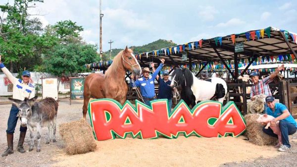 9 Recomendaciones para visitar PANACA - Alquiler Fincas Quindío